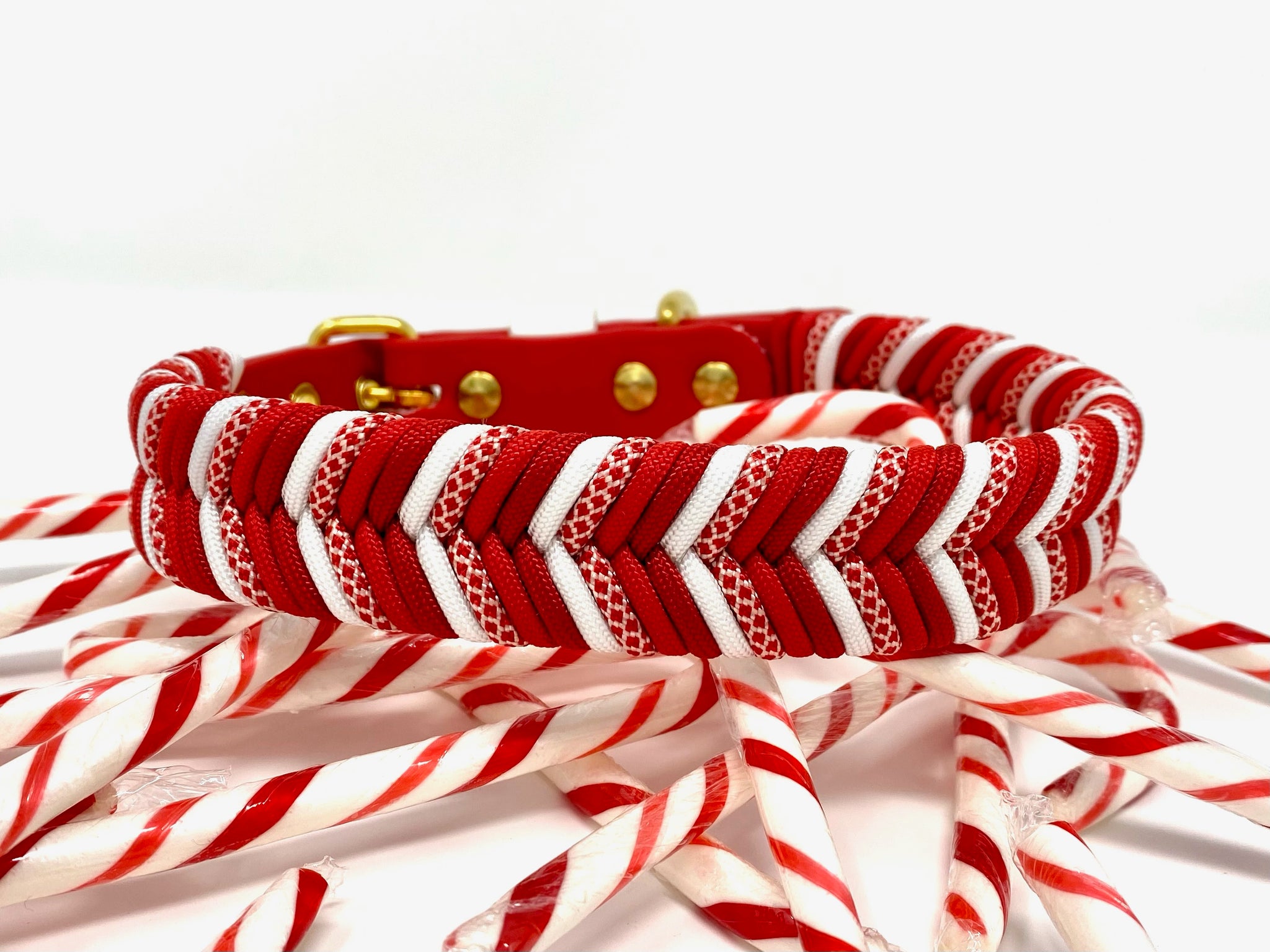 ARROW - CANDY CANE – Pet ProWear